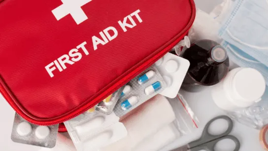 How to Make a Guinea Pig First Aid Kit & What to Put in It